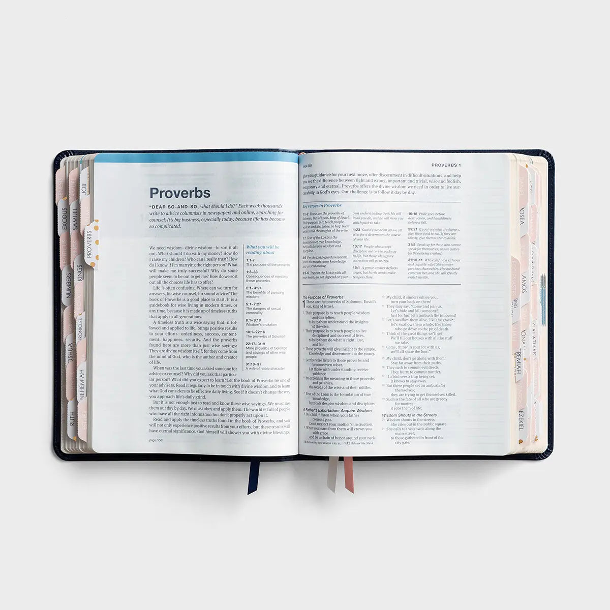 Candace Cameron Bure - Bible Tab – Godsend Store