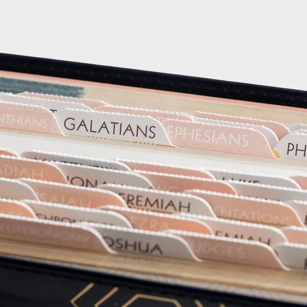 Candace Cameron Bure - Bible Tab – Godsend Store